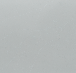 Delicato - Select Surfaces