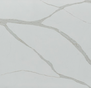 Michelangelo - Select Surfaces